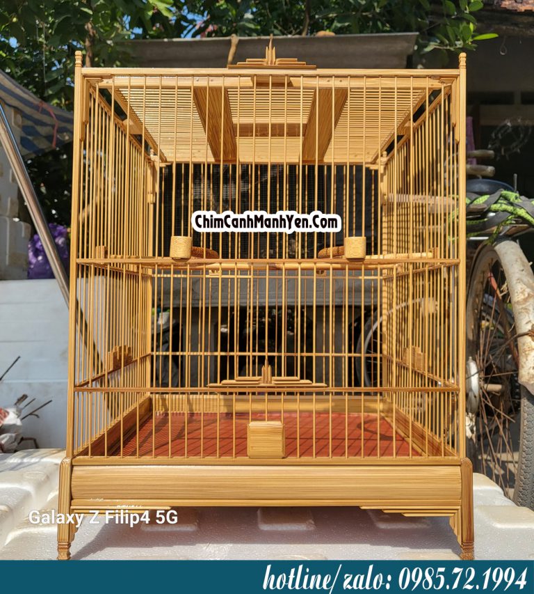 LỒNG CHIM - Tổng hợp mẫu đẹp, giá tốt, gửi hàng toàn Quốc