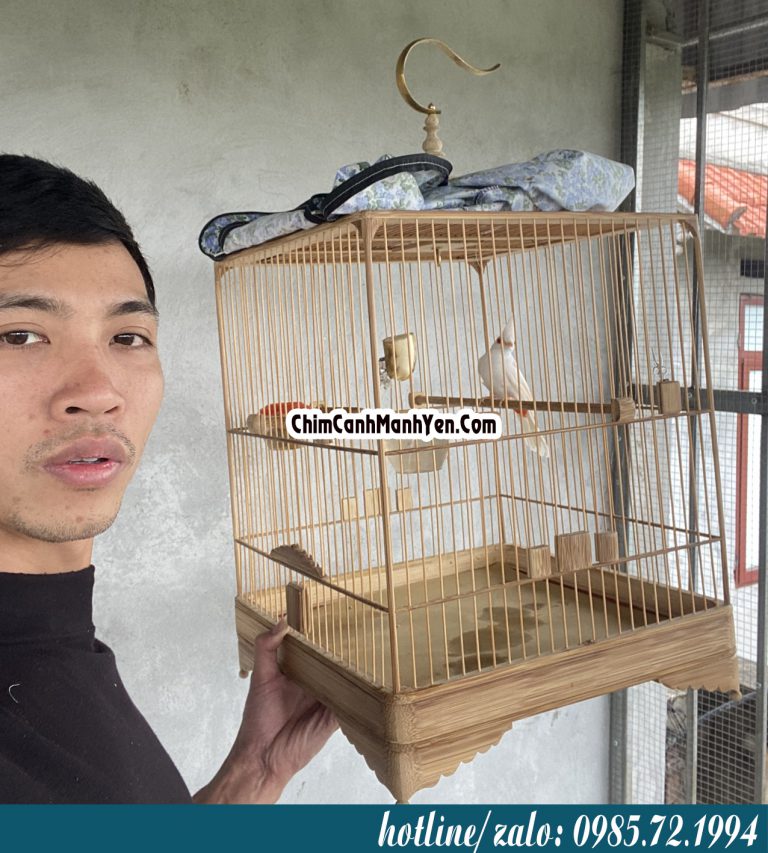 LỒNG CHIM - Tổng hợp mẫu đẹp, giá tốt, gửi hàng toàn Quốc